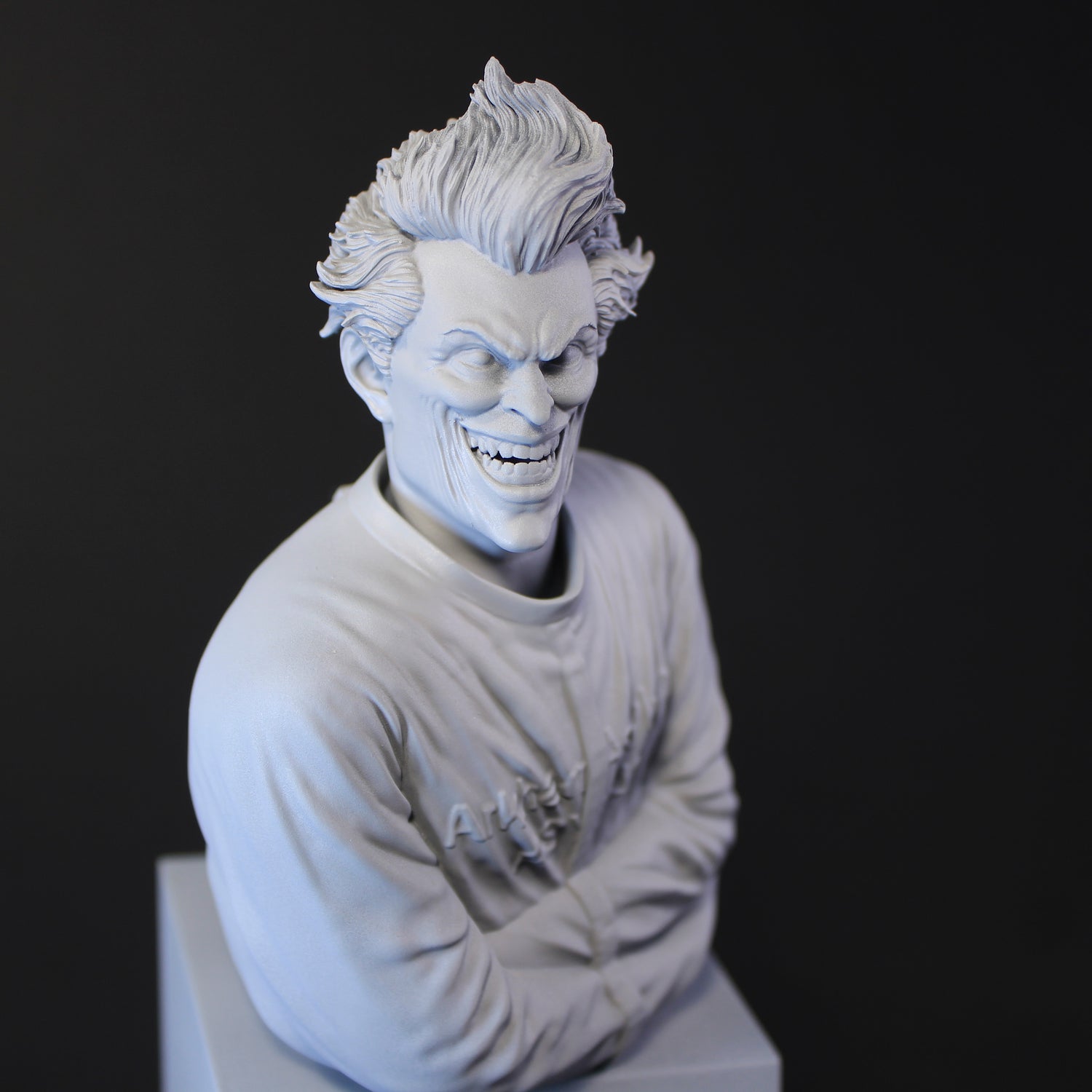 Busts – Rise 3D Builds